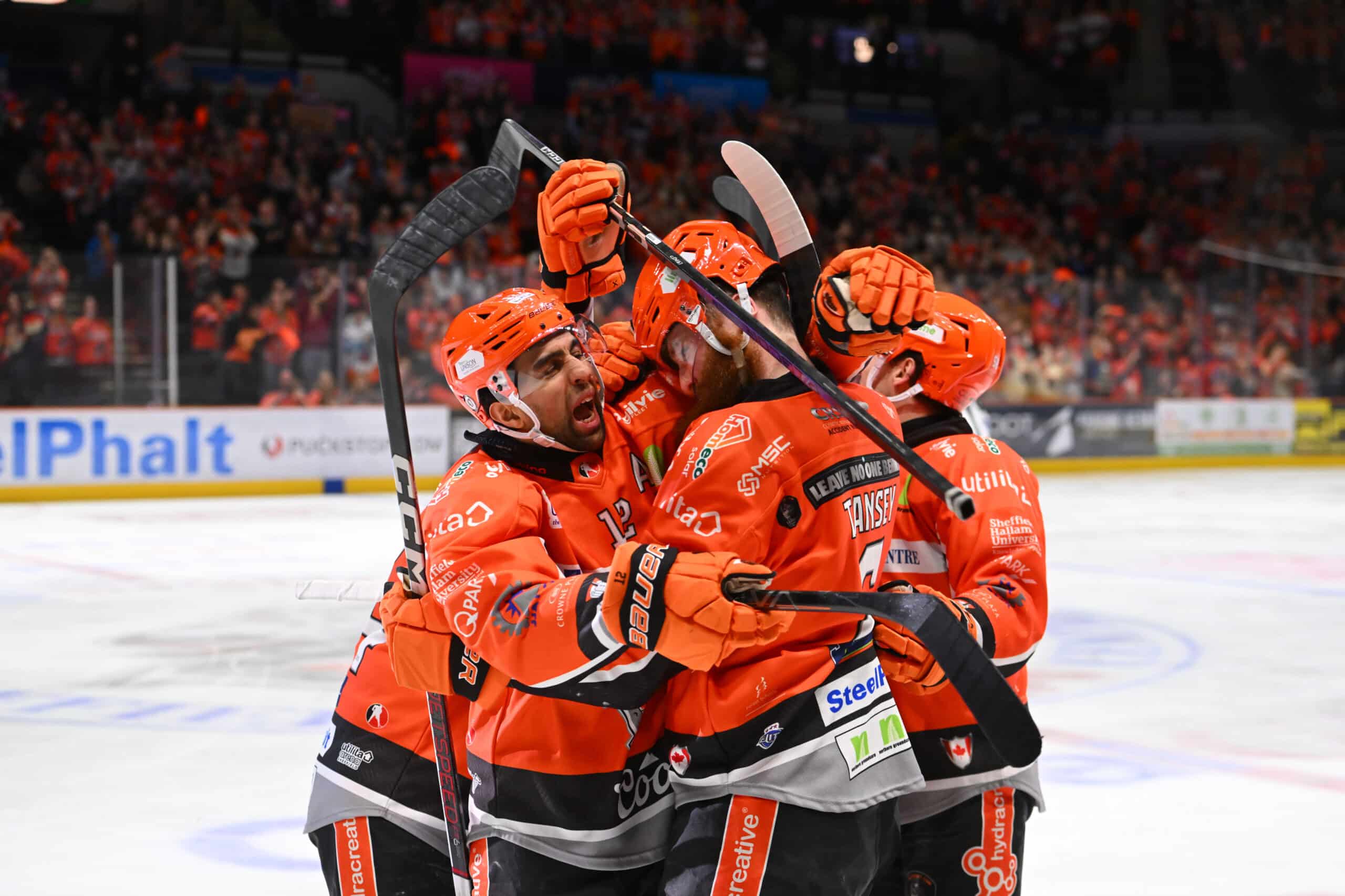 Up close and personal with the Sheffield Steelers with VIP tickets